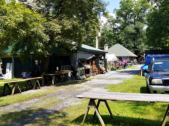 Morning light bathes the picnic area, where weary shoppers rest before diving back into the thrill of the hunt.