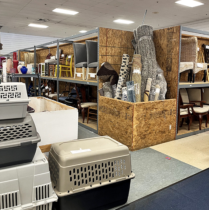 The home goods section: where pet carriers, rolled-up rugs, and random chairs create a domestic obstacle course of possibilities.