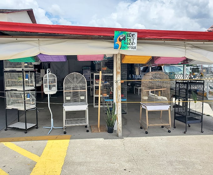 Empty cages await feathered friends at the pet shop section, where families often leave with more members than they arrived with.