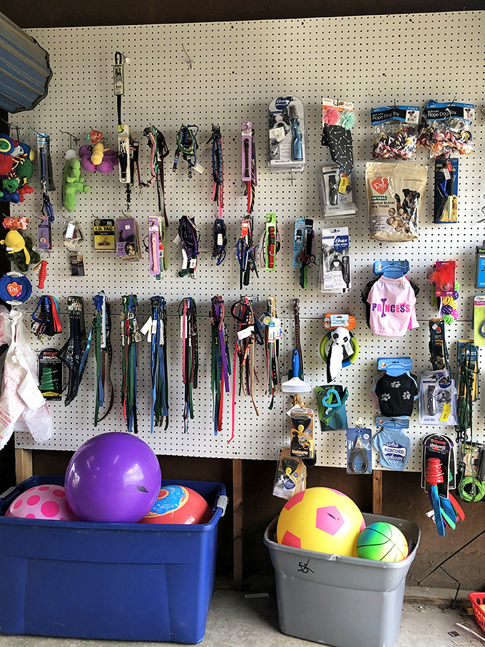 Pet paradise on pegboard! From leashes to toys, this wall of animal accessories proves our four-legged friends deserve bargains too.