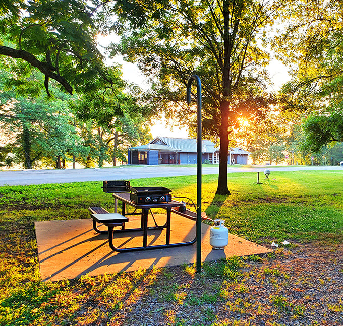 Picnic tables bathed in golden hour light &ndash; where ordinary sandwiches transform into gourmet meals simply because of the view.