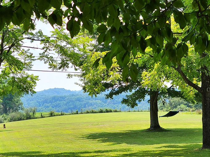 Mother Nature's dining room offers the kind of panoramic lake views that five-star restaurants attempt to replicate with expensive artwork.