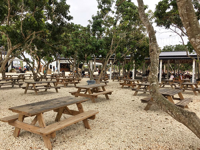 Picnic tables nestled under shade trees create the perfect setting for strawberry shortcake breaks and making plans for second helpings.