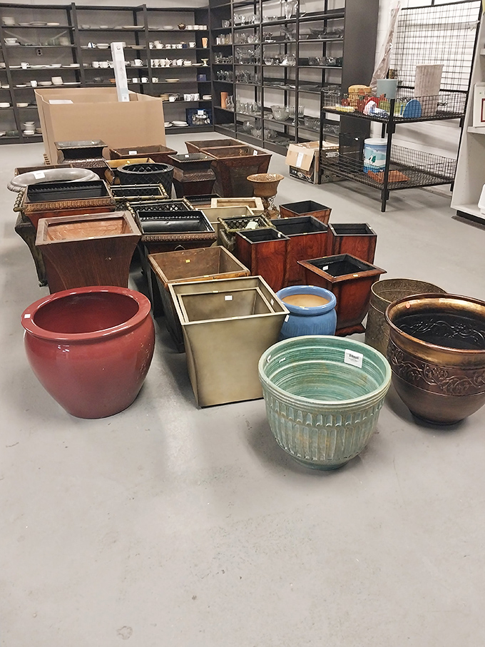 These planters aren't just ceramic containers&mdash;they're future homes for your green friends, waiting to be adopted.