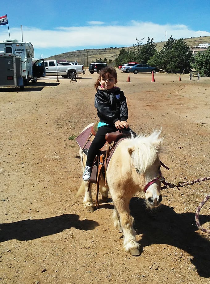 Creating core memories one pony ride at a time. This kid's smile is worth more than any antique in the market.