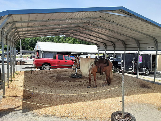 Not your average shopping cart! This gentle steed adds a touch of wild west charm to the market experience.