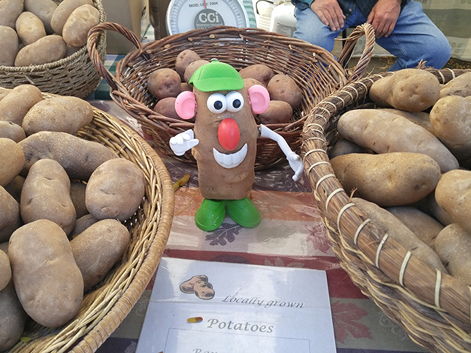 These aren't just mushrooms&mdash;they're umami bombs waiting to elevate tonight's dinner. Nature's most mysterious ingredient, harvested by fungi whisperers.