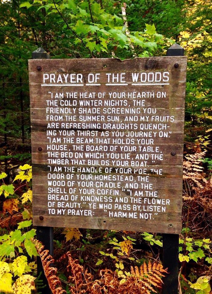 "Harm me not." The Prayer of the Woods serves as a gentle reminder that we're visitors in a living, breathing ecosystem.