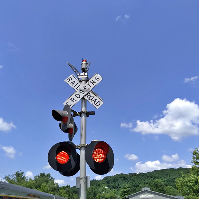 Autumn's golden hour transforms ordinary roadside scenes into moments that make you pull over just to stare a little longer.