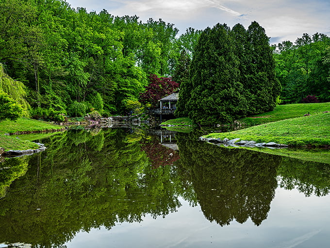 The pond's mirror-like surface doubles the beauty of surrounding trees, giving you twice the scenery for your trouble.