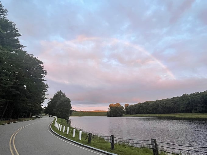 Sunset drive along the reservoir edge. The kind of road that makes you turn off the podcast and just enjoy the show nature's putting on.