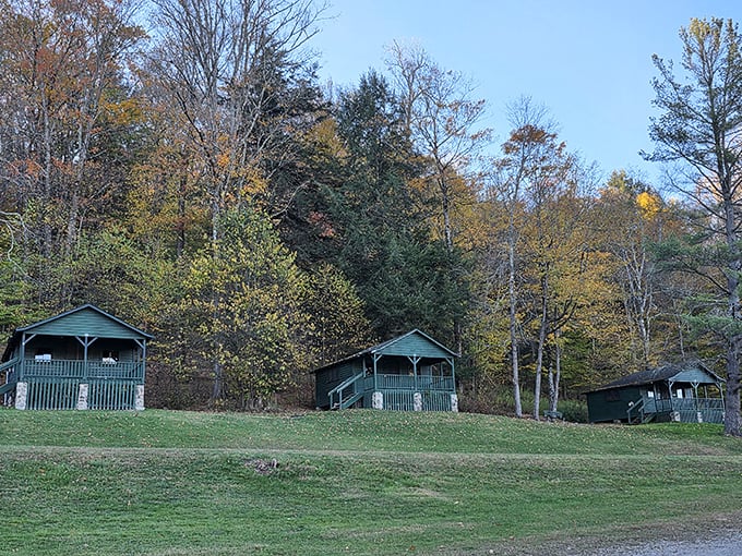 These green cabins blend into the forest like nature's own hide-and-seek champions since forever.