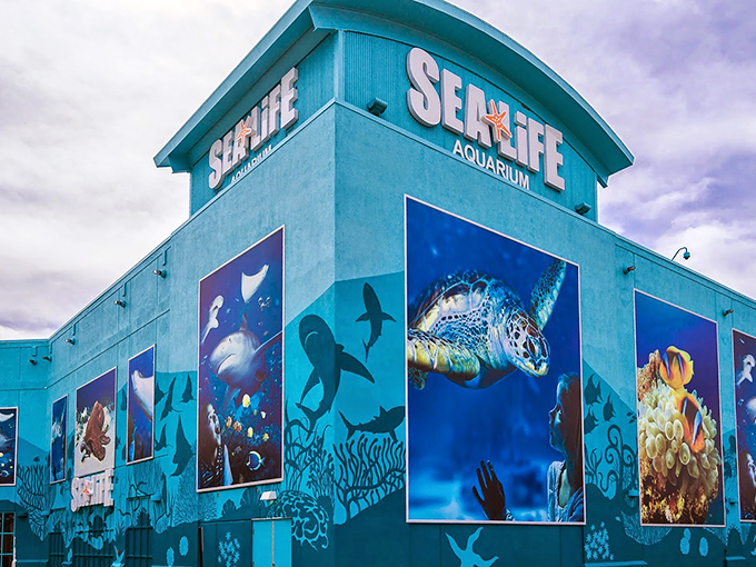 SEA LIFE Aquarium's vibrant exterior promises underwater adventures without the hassle of scuba certification or explaining to fish why you're invading their living room.