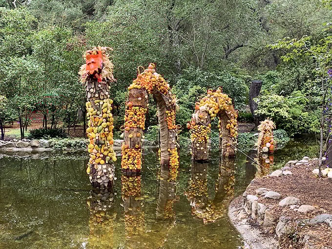 Seasonal pumpkin sculptures rise from the pond like friendly monsters attending their own autumnal costume party celebration.