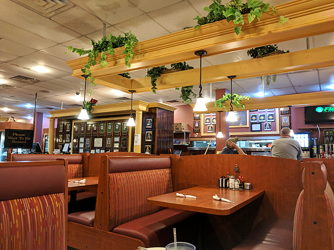 Booths designed for lingering conversations and second coffee refills. The hanging plants add a touch of green to balance all that comfort food.