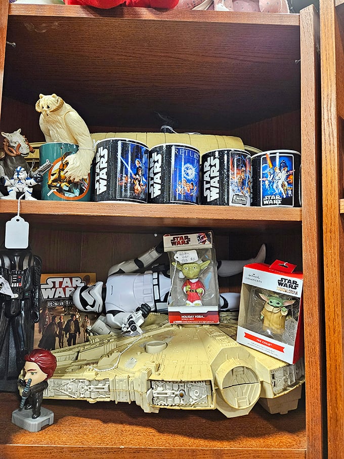 Star Wars collectibles that transport you to galaxies far, far away. The Force is particularly strong with that Millennium Falcon model.