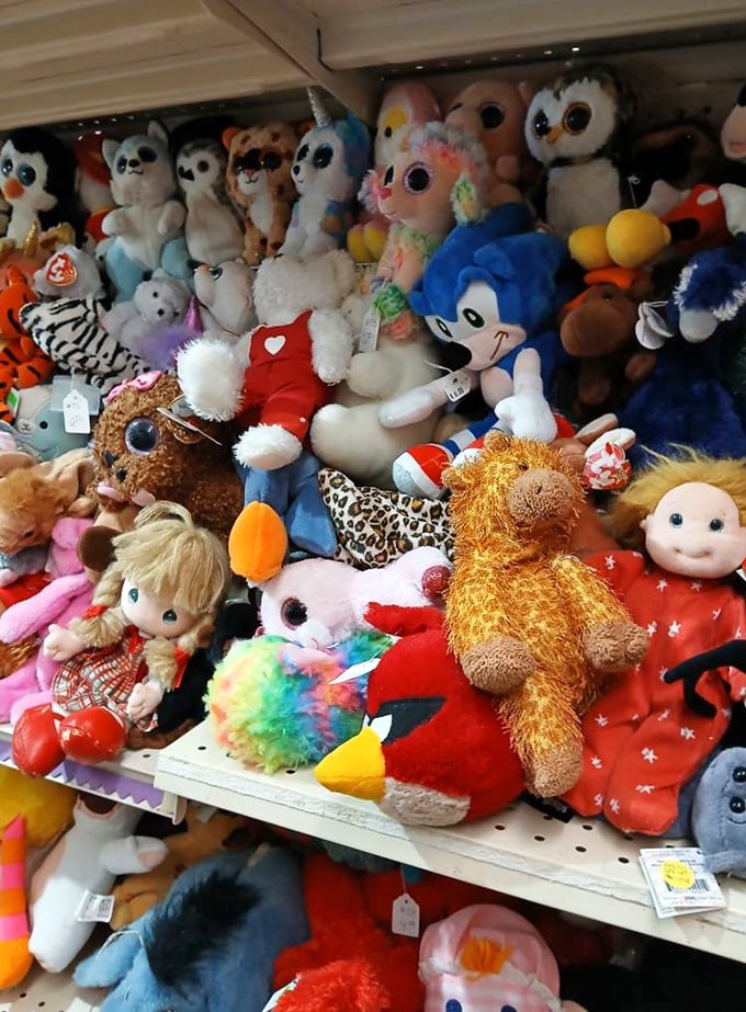 Stuffed animal adoption center where forgotten plush friends with hopeful button eyes await their forever homes and second chances.