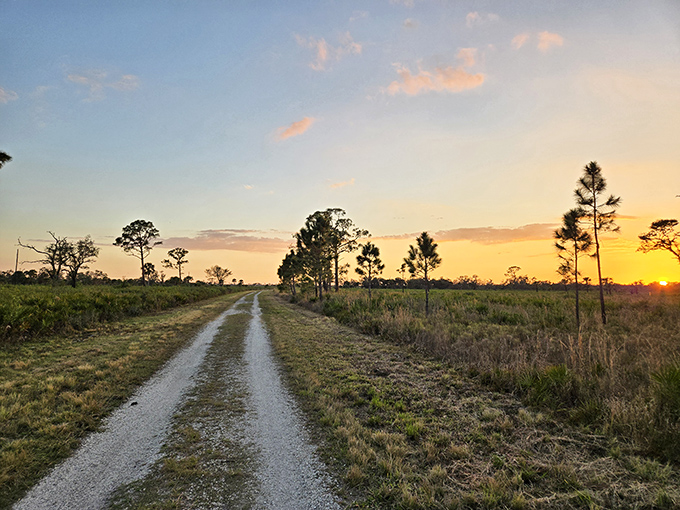 Sunset paints the park's back roads with golden light, turning a simple dirt path into the yellow brick road of outdoor adventures.