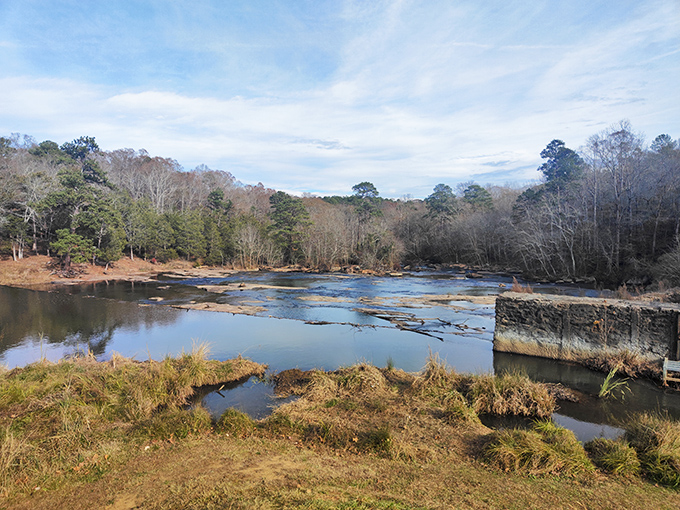 Winter reveals the bridge's skeletal surroundings, a reminder that even in nature's quiet season, some places never lose their charm.