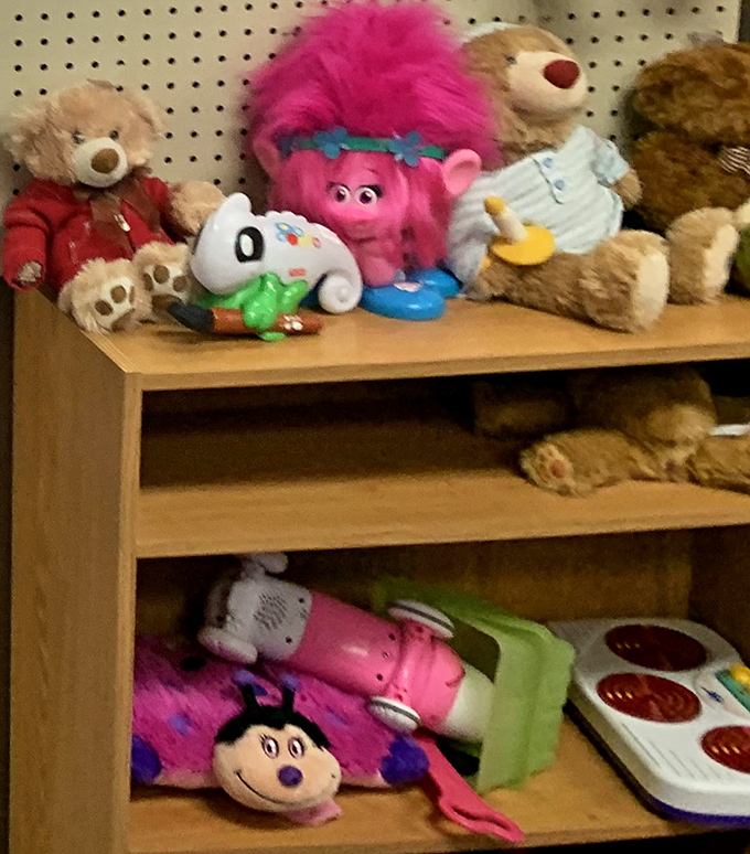 Stuffed companions and playful friends awaiting adoption, including what appears to be a very enthusiastic pink-haired character stealing the show. 