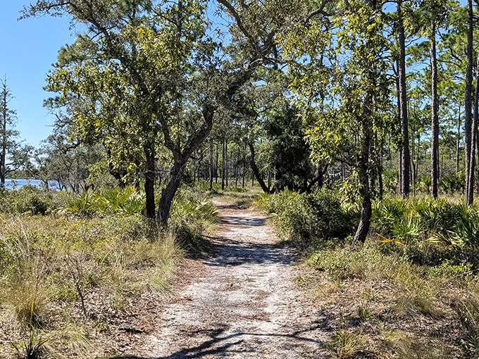 This trail doesn't need neon signs or billboards &ndash; its quiet beauty speaks volumes in a language that's becoming increasingly rare: pure, unfiltered nature.