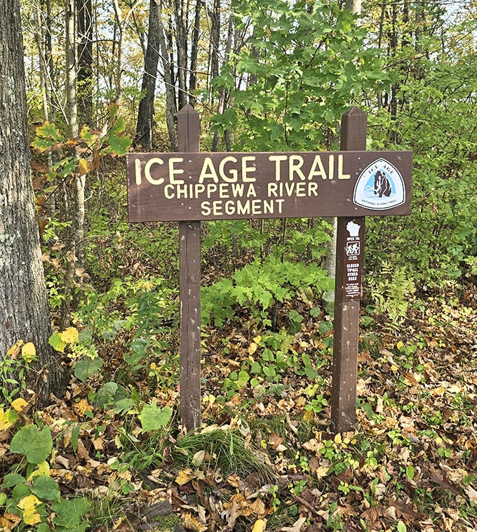The Ice Age Trail marker reminds us we're just brief visitors on a landscape shaped by forces far more patient than our hurried modern lives.