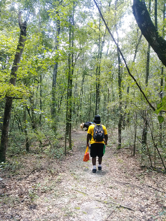 The forest trail beckons adventurers into dappled sunlight &ndash; nature's way of saying "the spring isn't the only attraction worth your time."