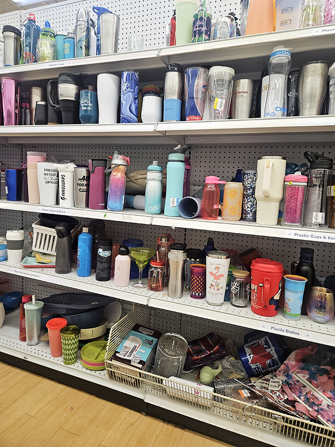 The tumbler section: a hydration station of abandoned New Year's resolutions. One person's forgotten fitness journey becomes your caffeinated companion.