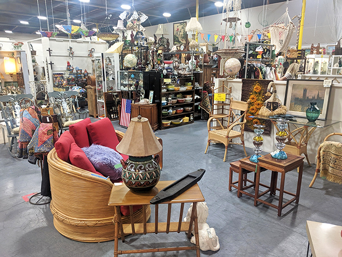 This curated chaos somehow makes perfect sense, like your kitchen junk drawer finally organized itself into something beautiful and profitable to explore.