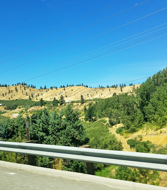 The drive-by view that makes highway travelers slam on brakes and ask, "What IS that place?" Your roadtrip just got an unexpected detour.
