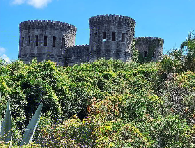 The castle emerges from dense vegetation like something from a fairytale, its stone towers a startling contrast to Florida's typical architecture.