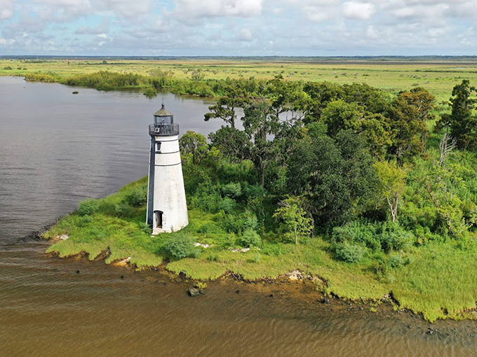 Framed by native Louisiana greenery, the lighthouse creates a perfect harmony between the natural world and human maritime heritage.