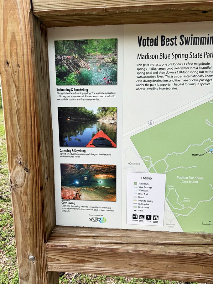 Educational displays reveal the spring's secrets, from underwater cave systems to the perfect temperature for spotting turtles year-round.