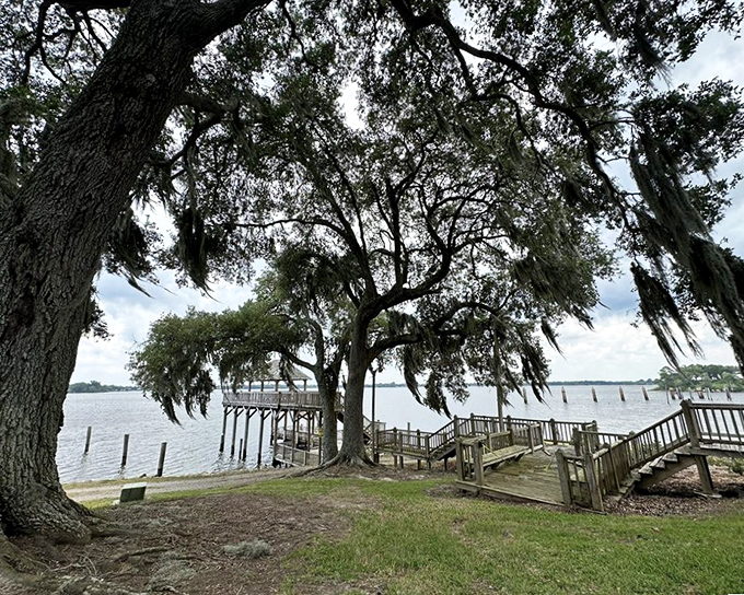 Where Spanish moss meets shoreline magic. The kind of view that makes you wonder why you ever thought city living was a good idea.