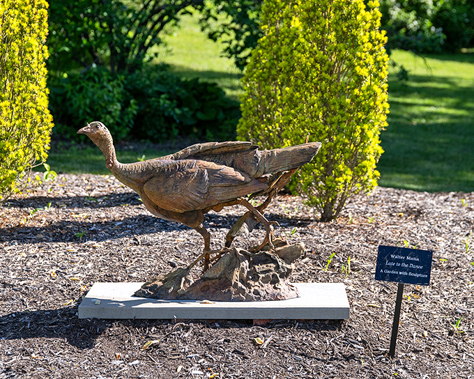 This bronze wild turkey isn't running from Thanksgiving &ndash; it's proudly strutting its artistic stuff among the manicured hedges.
