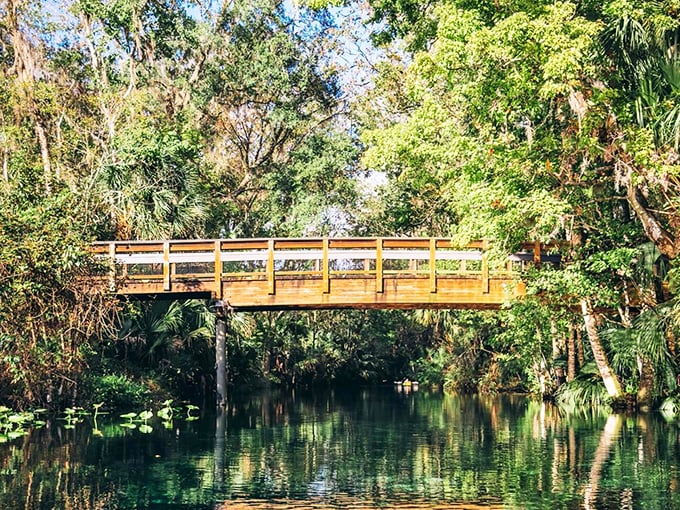 A wooden bridge spans the crystalline waters, connecting visitors to wilderness trails while providing Instagram-worthy views of the springs below.