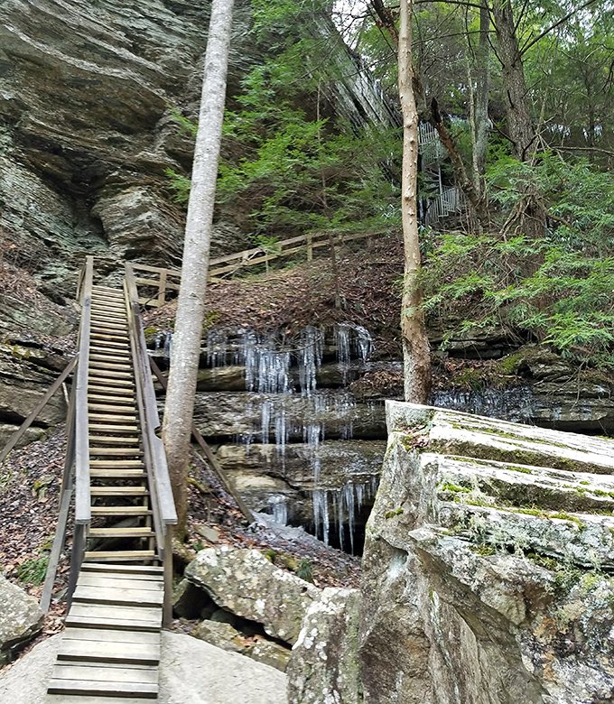 These wooden stairs don't just lead to a waterfall &ndash; they're a stairway to heaven for nature photographers and Instagram enthusiasts.