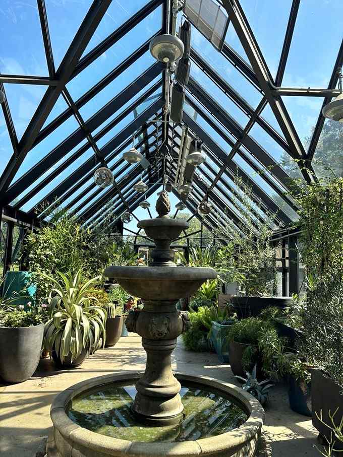 Inside the greenhouse where humidity meets horticulture and somehow makes you forget you're still technically in the suburbs.