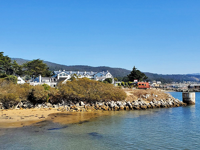 Half Moon Bay's harbor sits peacefully where fishing boats rest and coastal dreams begin their journey.