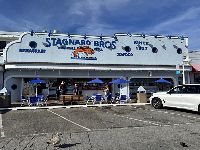Stagnaro Bros' white and blue building looks like it sailed right onto the wharf. Inside, chowder traditions are maintained with religious devotion.