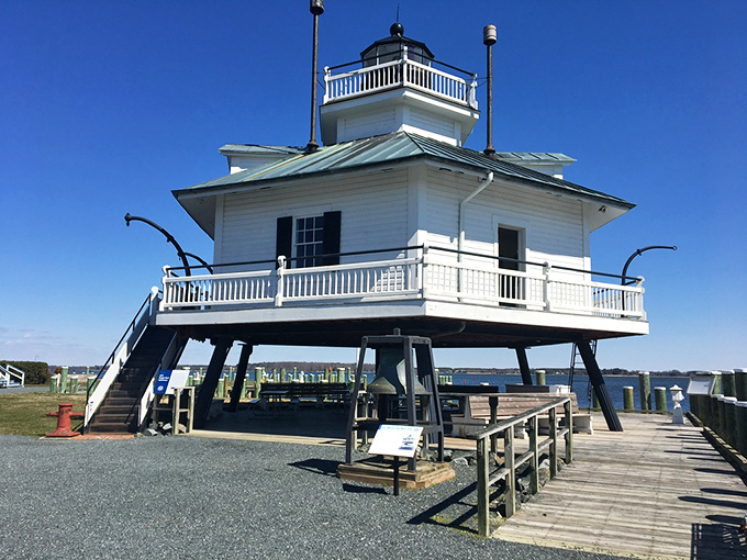 Standing sentinel over St. Michaels, the relocated Hooper Strait Lighthouse reminds us that some beacons of history are worth preserving, no matter the effort.