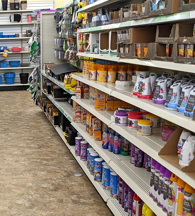 Household heroes in spray, solid, and plug-in form. Because your home should smell like "Mountain Breeze," not "Last Night's Takeout Regret."