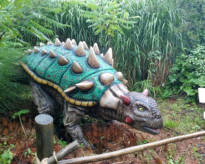 Nature's tank doesn't worry about parallel parking. This Ankylosaurus model showcases the impressive armor and club tail that made it the prehistoric equivalent of a walking fortress.