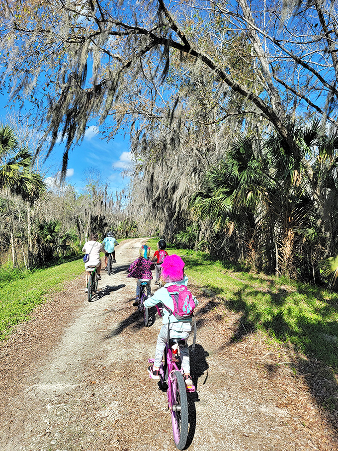Family cycling adventures under Spanish moss canopies&mdash;childhood memories in the making on Florida's scenic trails.