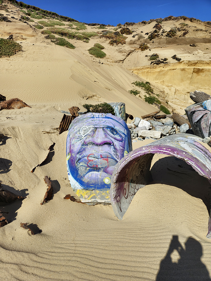 Even the debris becomes art when washed up on these shores. This painted remnant found its perfect gallery space among the shifting sands.