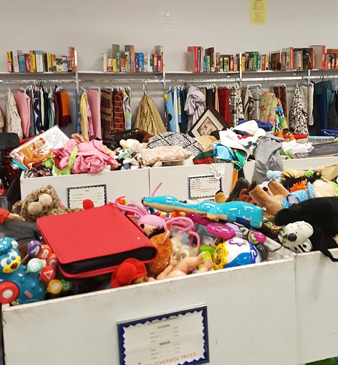 Toy bins overflow with plastic potential&mdash;each item whispering stories of the joy it once brought and promises to bring again.