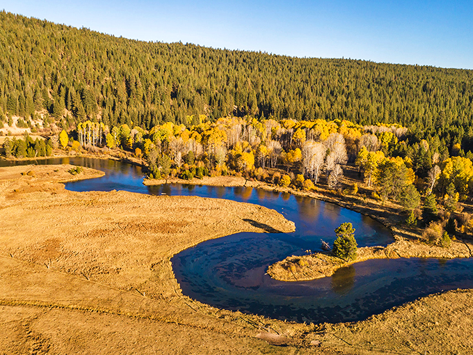 Nature's gold rush happens every autumn along Klamath's waterways, where aspens and cottonwoods create a treasure more valuable than any precious metal.