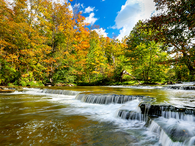 Autumn's golden touch transforms the creek into a painter's palette of amber and russet, proving water doesn't need to fall to be beautiful.