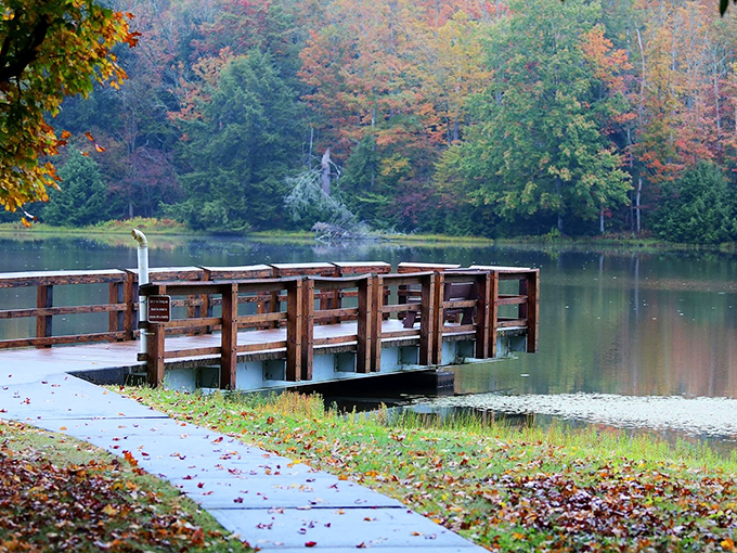 Fall foliage creates nature's most spectacular light show around the fishing dock. Autumn at Chapman proves that Pennsylvania can out-color New England any day.