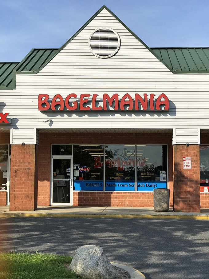 Bagelmania: where carb-counting goes to die and breakfast dreams come deliciously true.